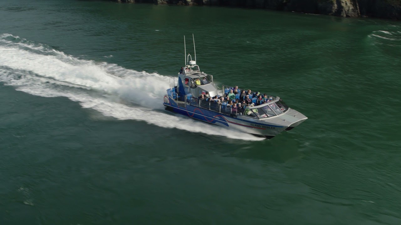 Deception Pass Tours In Anacortes, WA Offers Jet Boat Tours, Minor ...