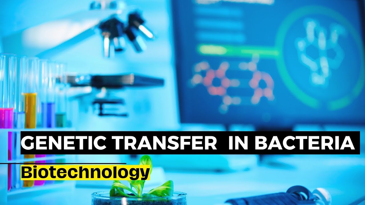 Genetic Transfer in Bacteria | Biotechnology | بايو تكنولوجي كلية صيدلة ...