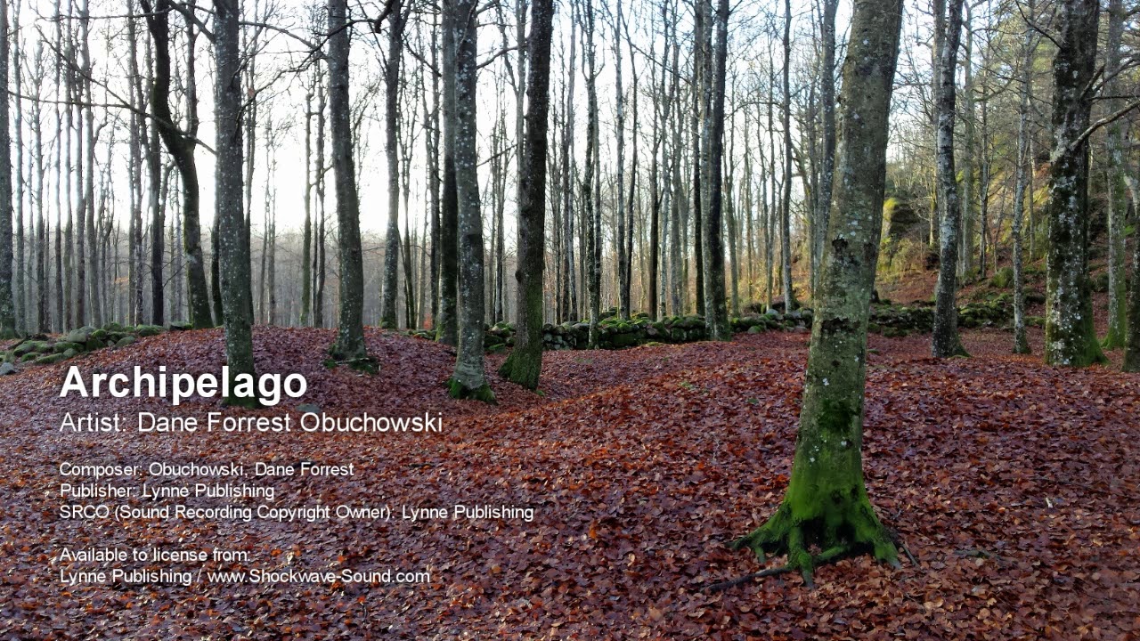 Archipelago - Dane Forrest Obuchowski (Lynne Publishing) - YouTube