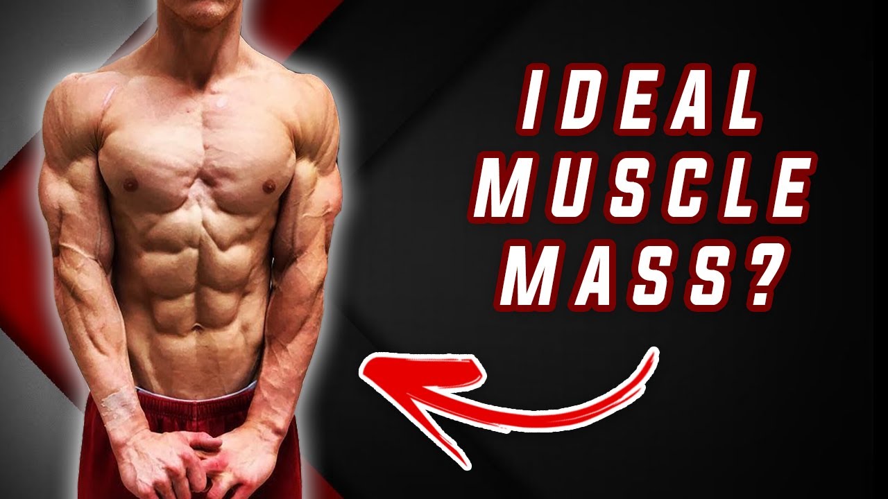 What Is The Ideal Muscle Mass FOR YOU All You Need To Know YouTube