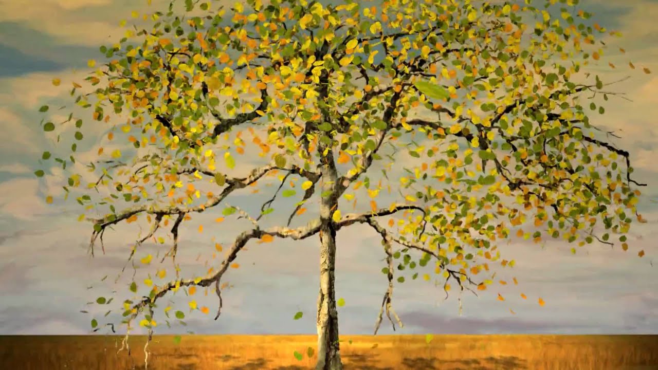 The Sound of One Tree Clapping - YouTube