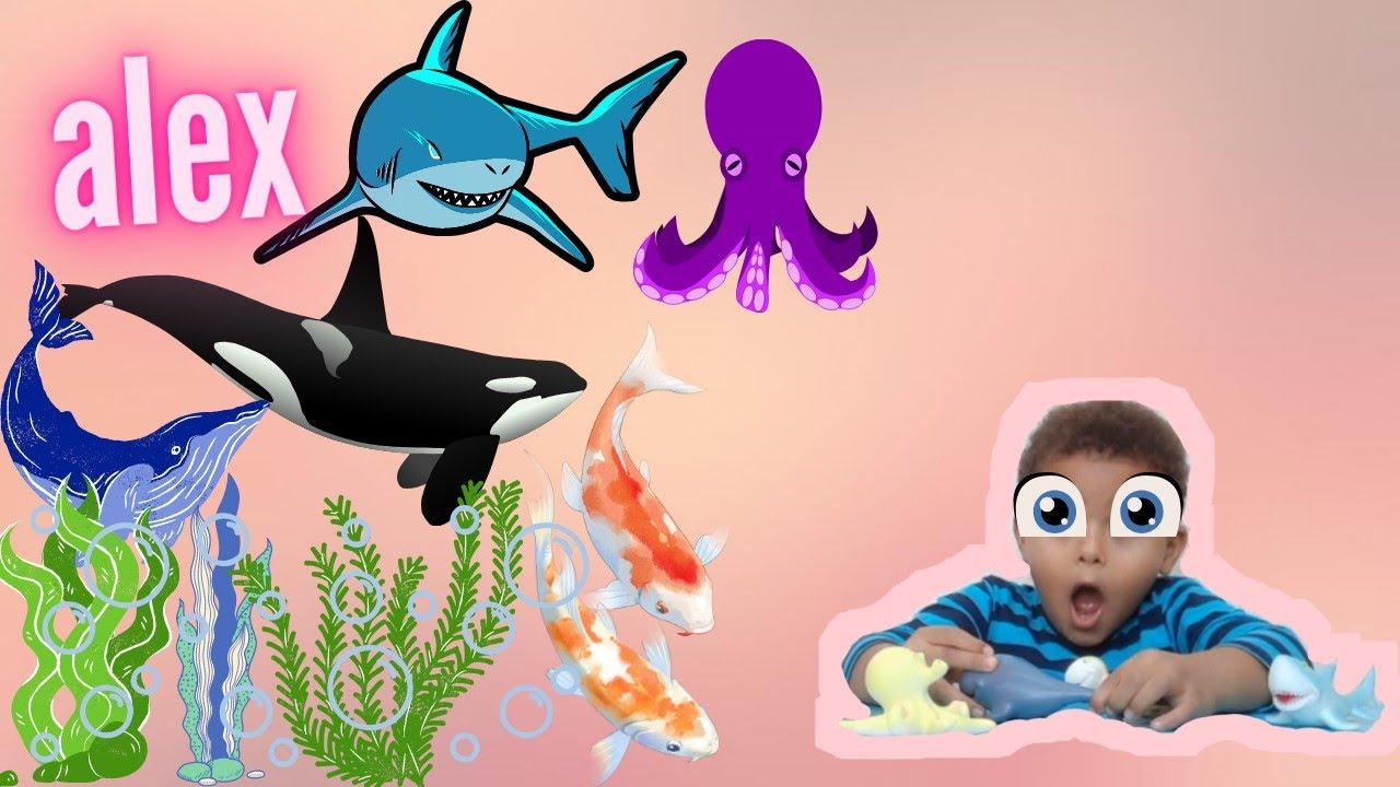 pretend play with whale,octopus and other sea creatures - YouTube