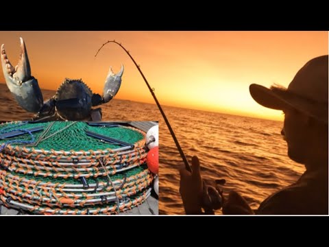 ULTIMATE PRO CRABS POTS CATCH MONSTER CRABS | EASTER WEEKEND FISHING ...