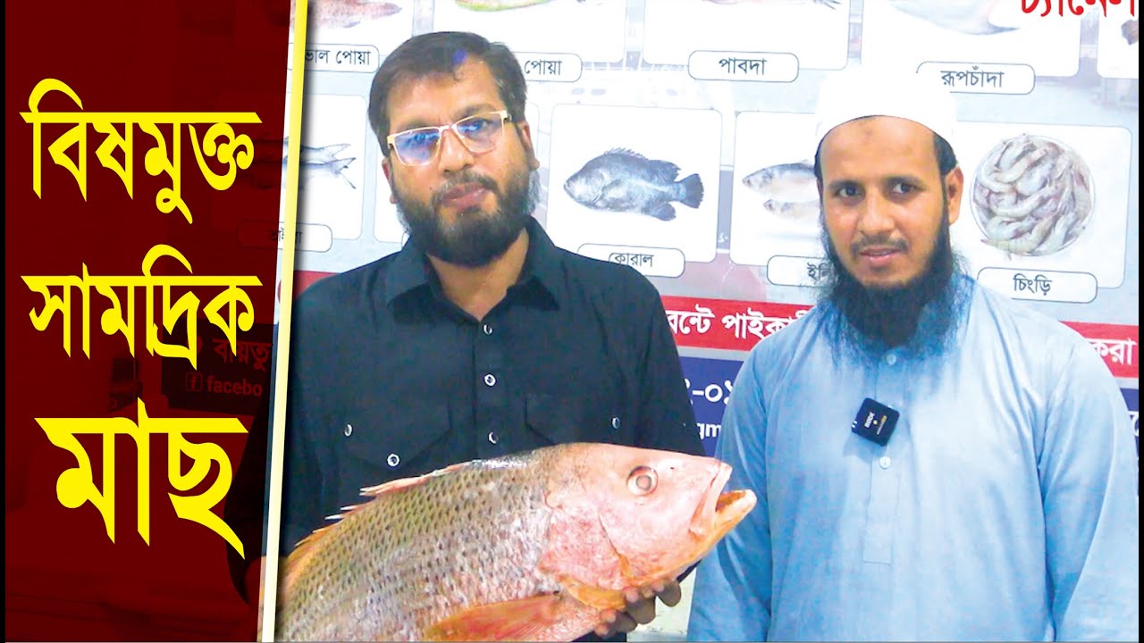 Sea Fish World | সী ফিস ওয়ার্ল্ড | Fish Sale Center | সামদ্রিক মাছ ...