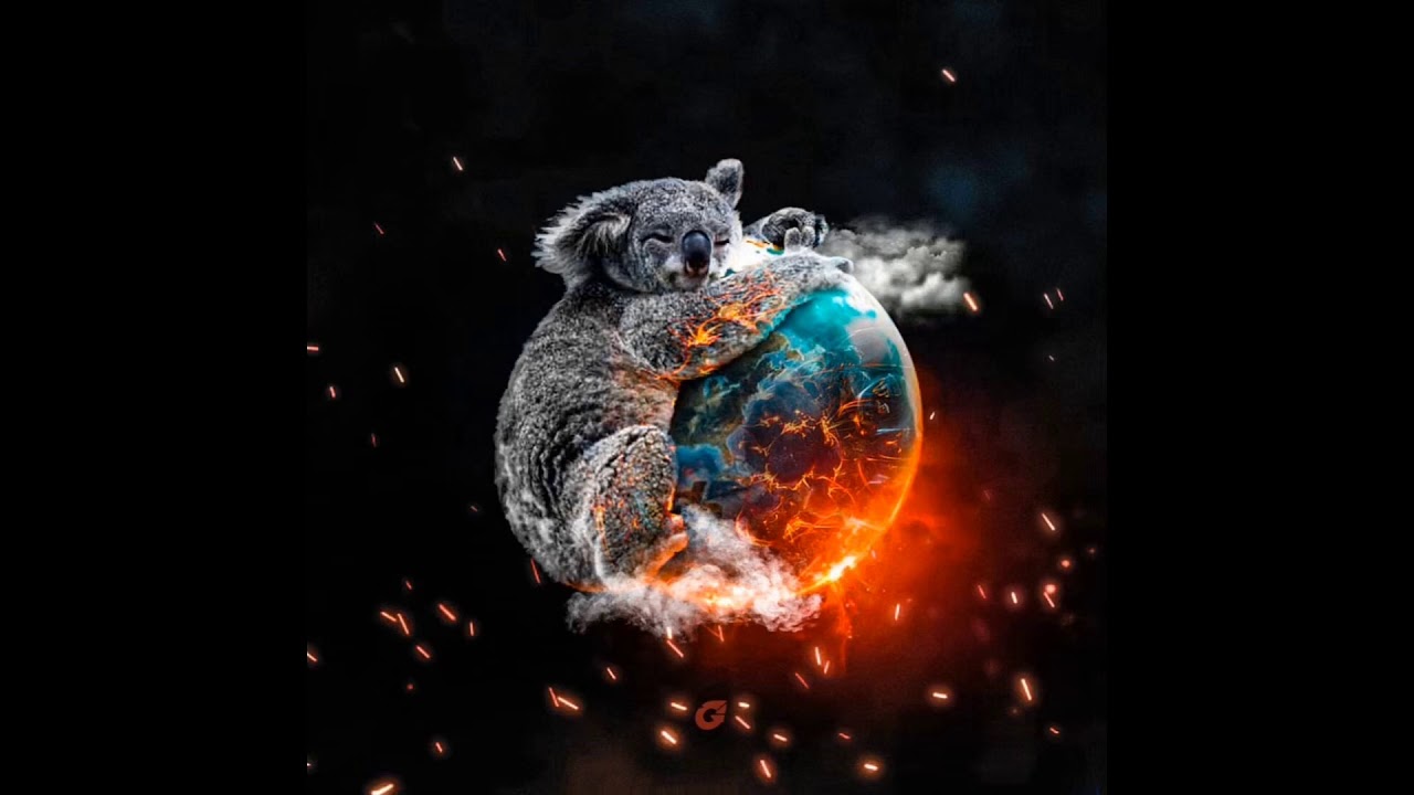 Pray for Australia 🇦🇺 Koalas 🐨 Kangaroo 🦘 #prayforaustralia #Fires ...