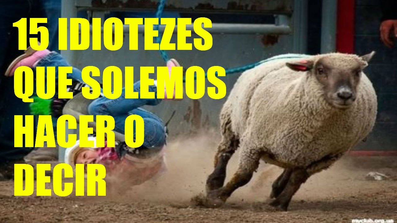 15 IDIOTEZES QUE SOLEMOS HACER O DECIR - YouTube