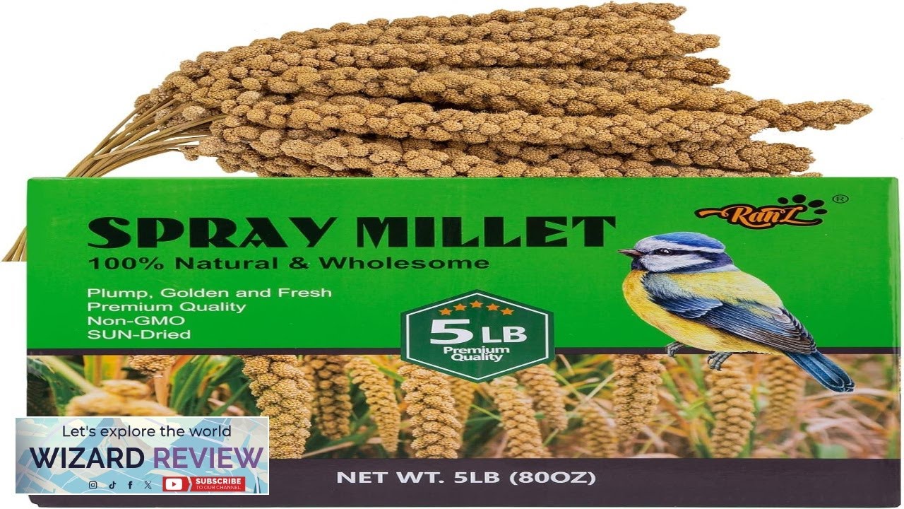 RANZ 5LBS Millet Spray for Birds GMO-Free Sun Dried Spray Millet ...