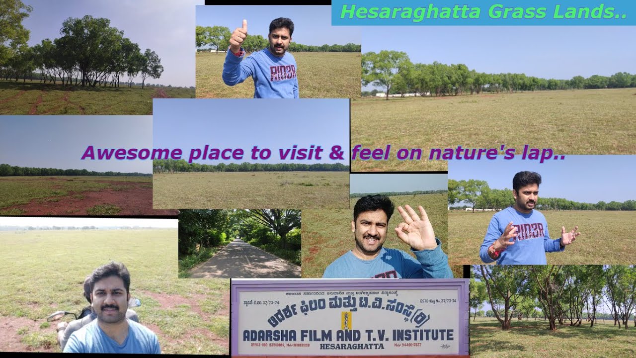 Hesaraghatta Grass Land.. Awesome place to visit, Outskirts trip Just ...