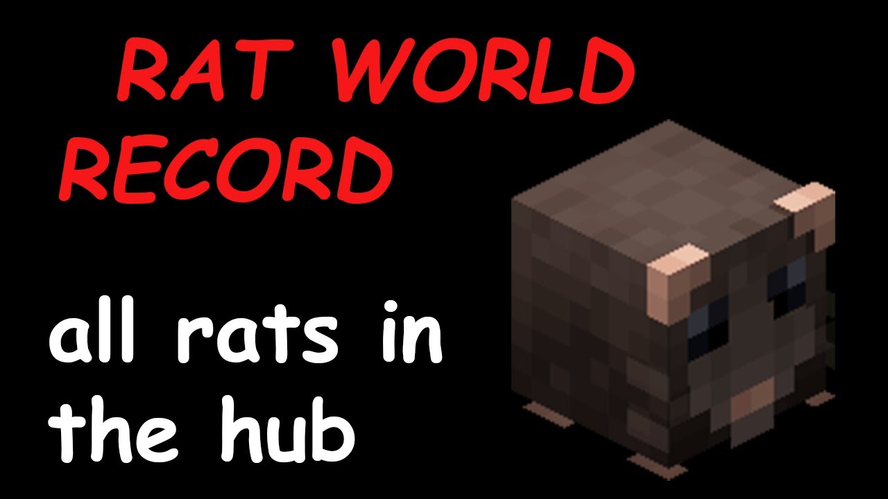 Rat World Record (13.9 seconds) Hypixel Skyblock - YouTube
