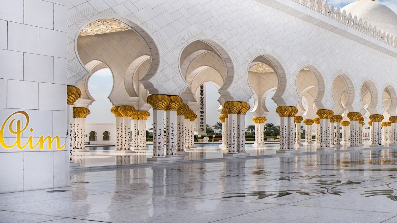 AIM Live Stream - YouTube