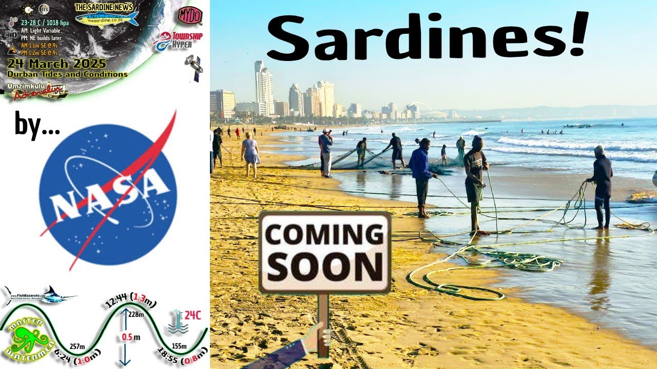 Talking Sardines Again, Tides and Conditions #kzn #surfing #fishing # ...