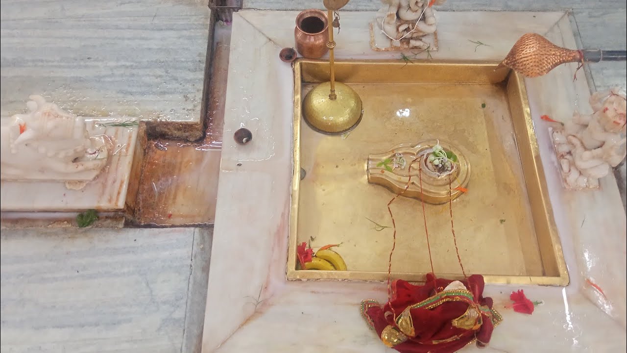 Aacharya vinod pandit ji is live Jay Shiv Shankar rudrashtadhyai paath ...