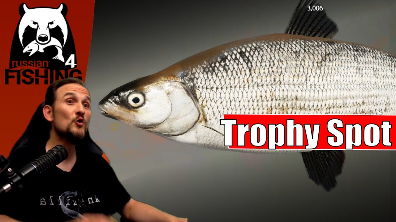 Russian Fishing 4 - Ladogasee - Trophy Spot, Ludoga Renke, Ripus Maräne ...