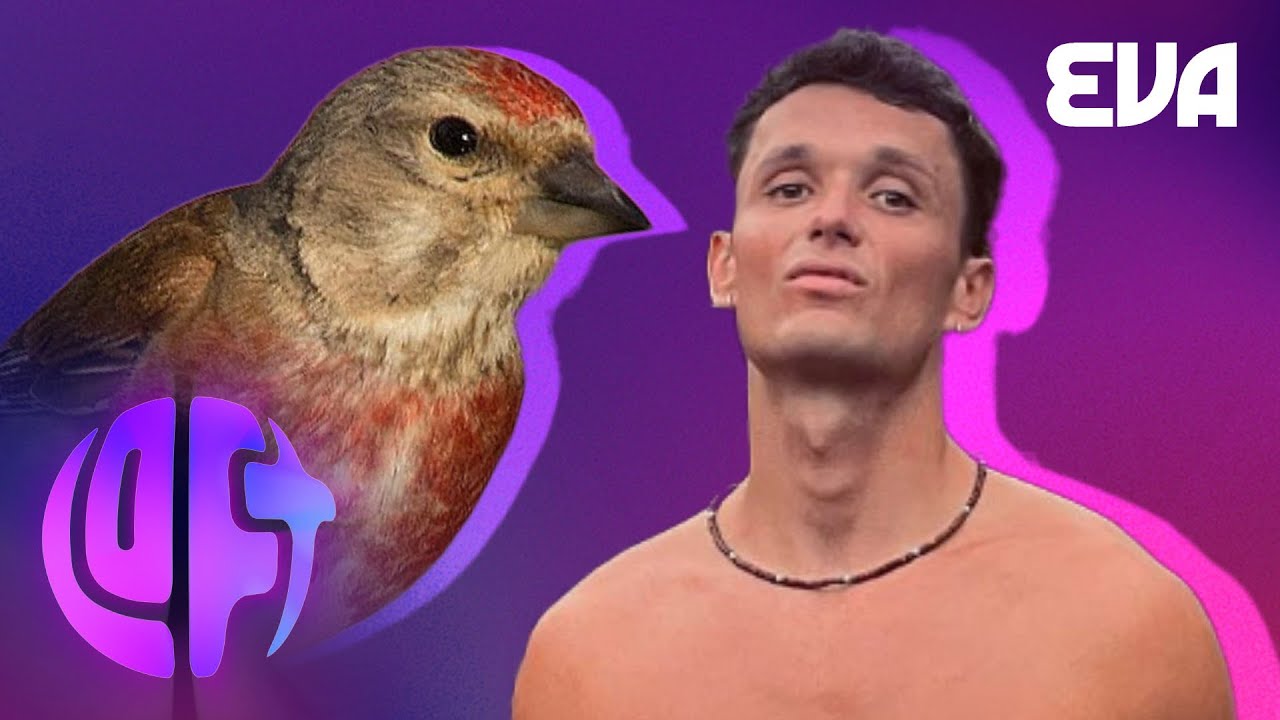 En JAN RAICH és un PASSERELL i altres paraules en CATALÀ #SomLOFT - YouTube