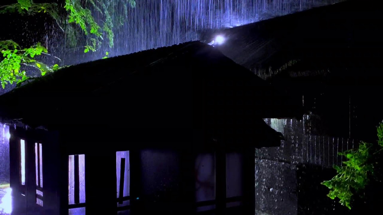 Heavy Rain for Deep Sleep – Pure Forest Ambience No Thunder - YouTube