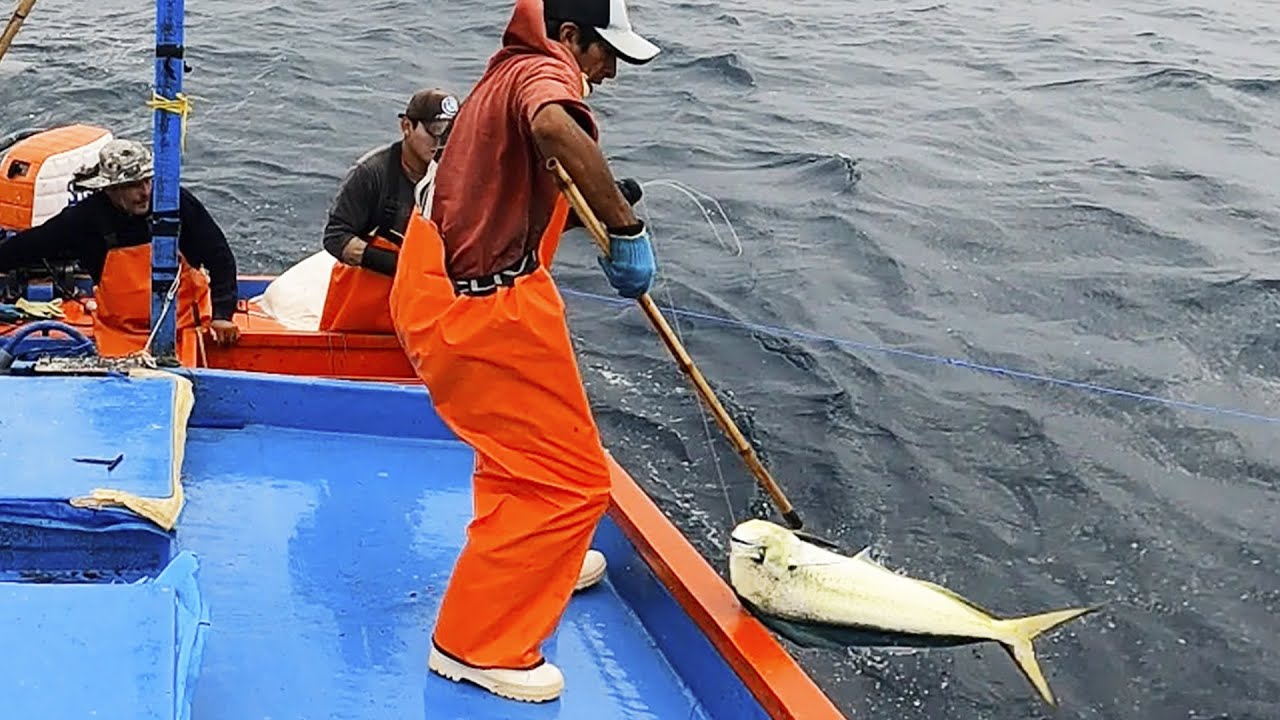 Increíbles Hechos De Pesca Con Anzuelo Grabados En Alta Mar Para