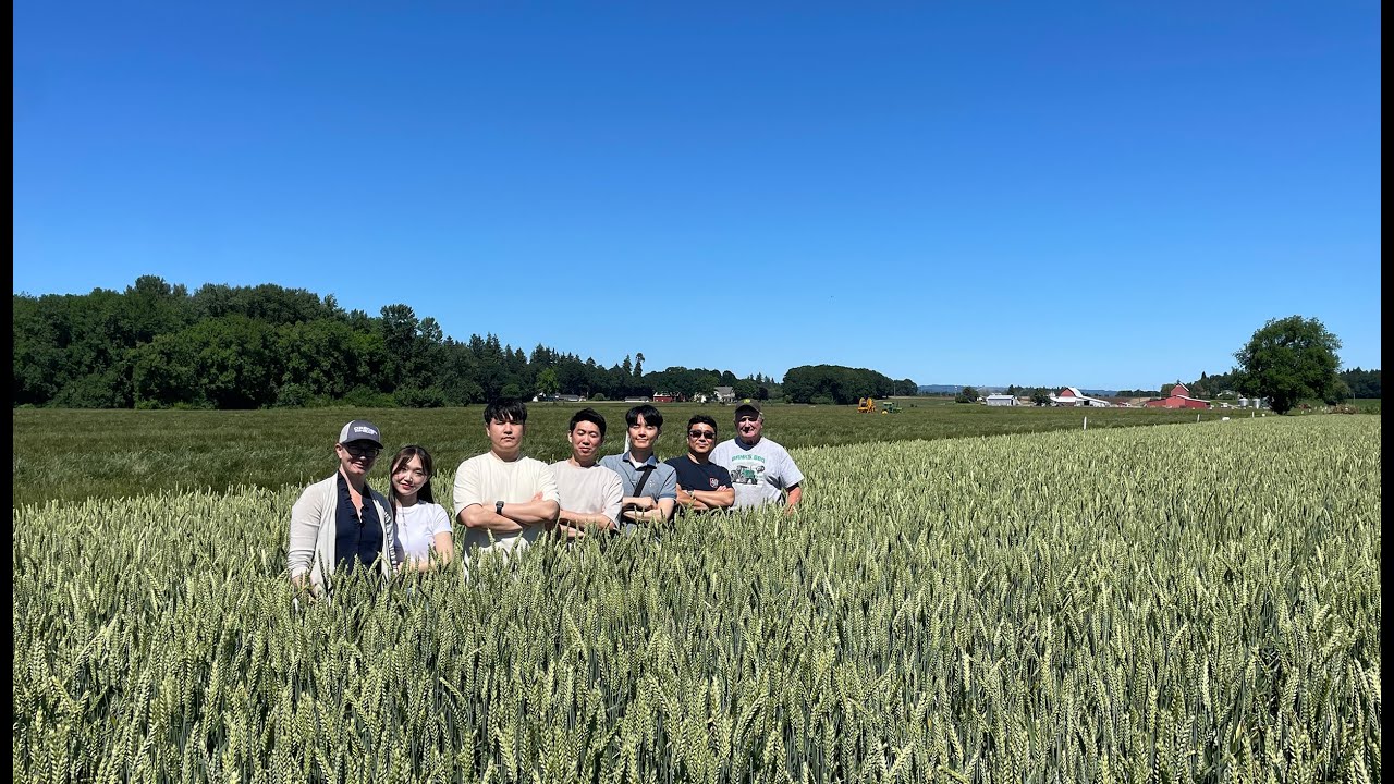 Korean Bakery Product Development Course June 2024 YouTube korean-bakery-product-development-course-june-2024-youtube