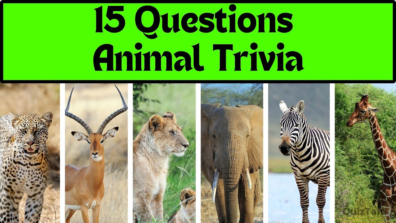 Animal Trivia Quiz - 15 trivia questions and answers about animal ...