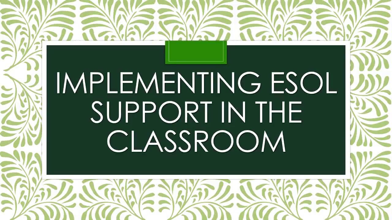 ESOL SUPPORT IN THE CLASSROOM - YouTube