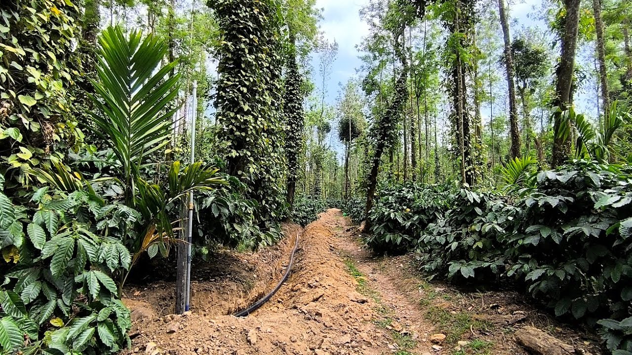 spot jet irrigation and installation - YouTube