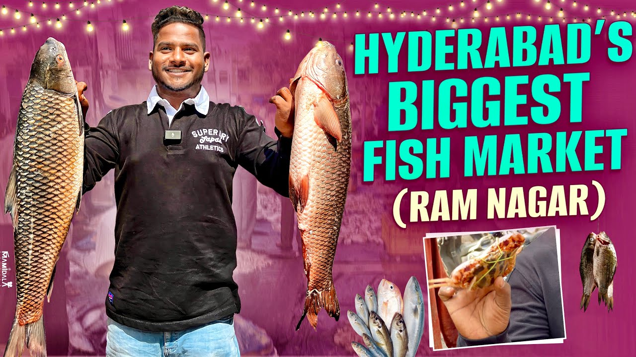 Mana Ramnagar fish market🐟 (exploring biggest fish market in Hyderabad ...