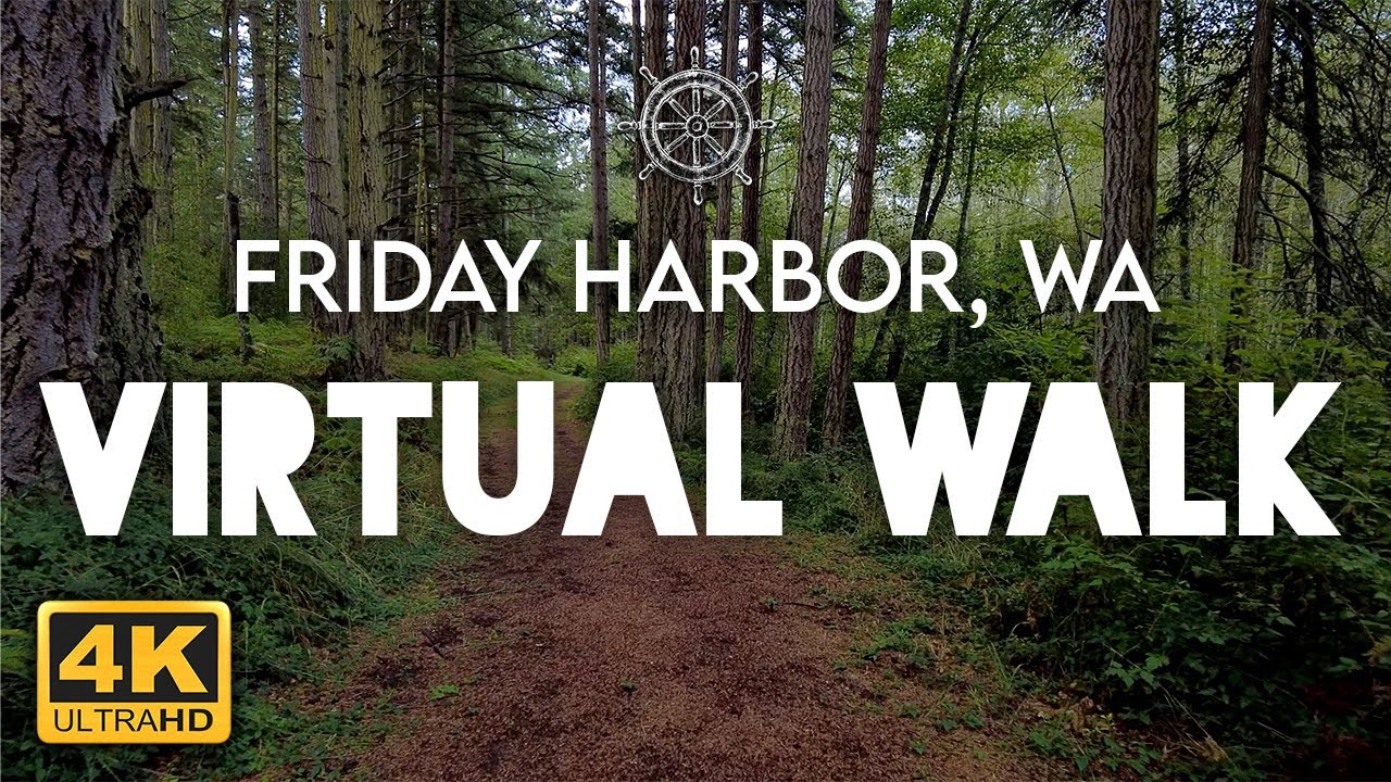 4K Virtual Hike through Beaverton Marsh Preserve Trail in Friday Harbor ...