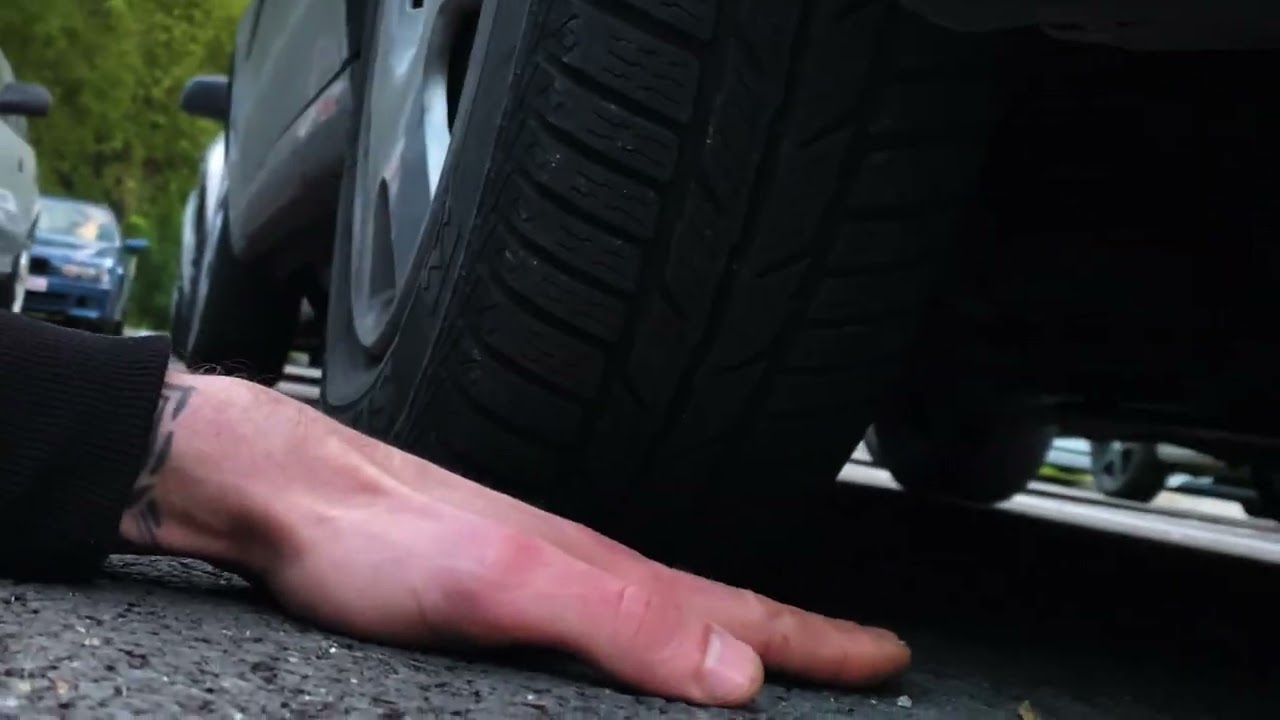 The new girl next door moved in yesterday. It ran over my hand today. ♥ ...