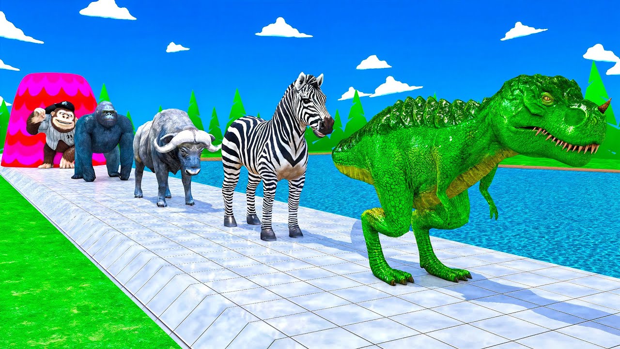 Long Slide Game With Cow Zebra Gorilla Hippopotamus Tiger 3d Animal ...