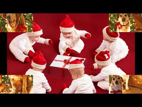yeni ilniz mubarek-2018