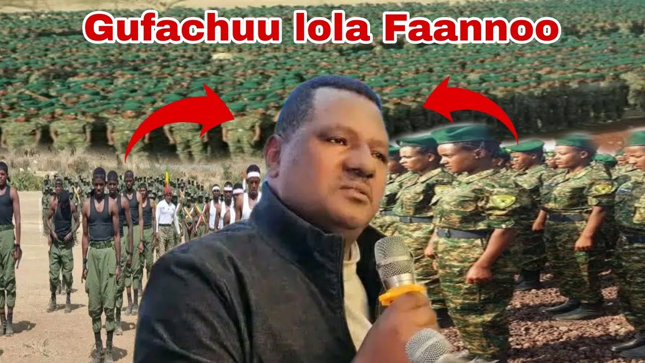 Xiinxala: Humna addaa Faannoo akka hin lolle maaf dhorkame? - YouTube