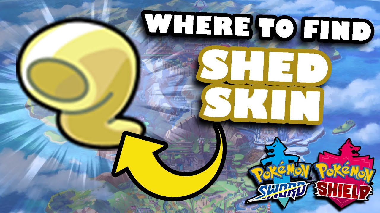 SHED SHELL Location in Pokemon Sword & Shield! - YouTube