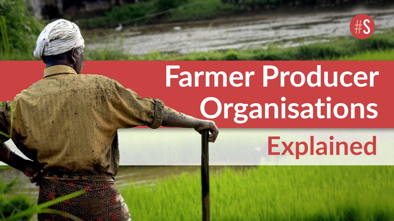 Farmer Producer Organisations: The Right Seeds To Sow For The Benefit ...