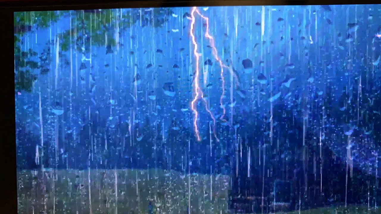 Waiting for the rain to fall relaxation Nature of life - YouTube