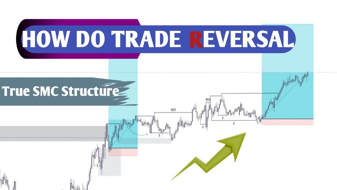How do trade Counter Trend | Reversal | Pradip fx - YouTube