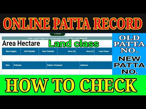 Online Patta Record check | Loucha Pathap | Land Record - YouTube