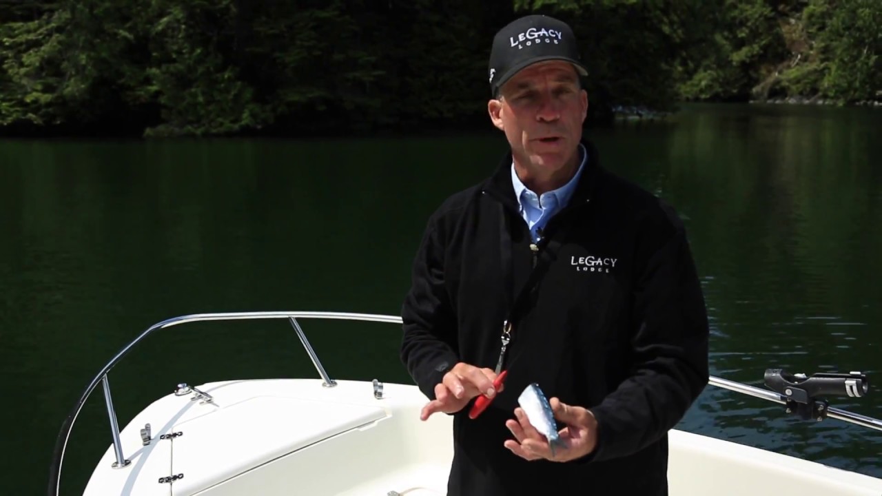 Legacy Lodge - Bait Prep - YouTube