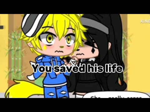 You saved his life//@Queen-Ruby-Red // tiger+diana - YouTube