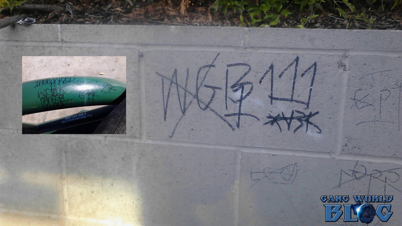 Weirdo Gangster Bloods Gang History (Inglewood) - YouTube