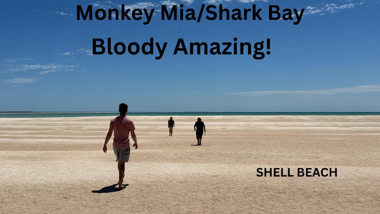 Outback to Ocean Ep6 | Monkey Mia | Shell beach | Stromatolites | Swags ...