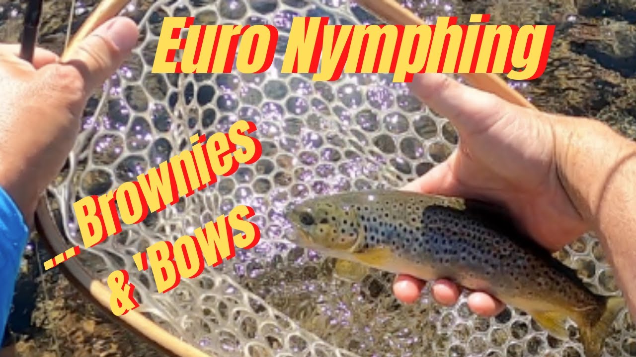 Fly Fishing - Euro Nymphing for Brown Trout and Rainbow Trout - YouTube