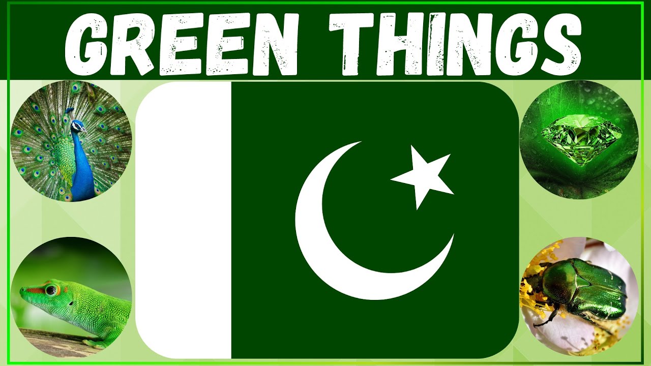 Just Green Things| Green Things in Nature| Green Color Things Names|# ...