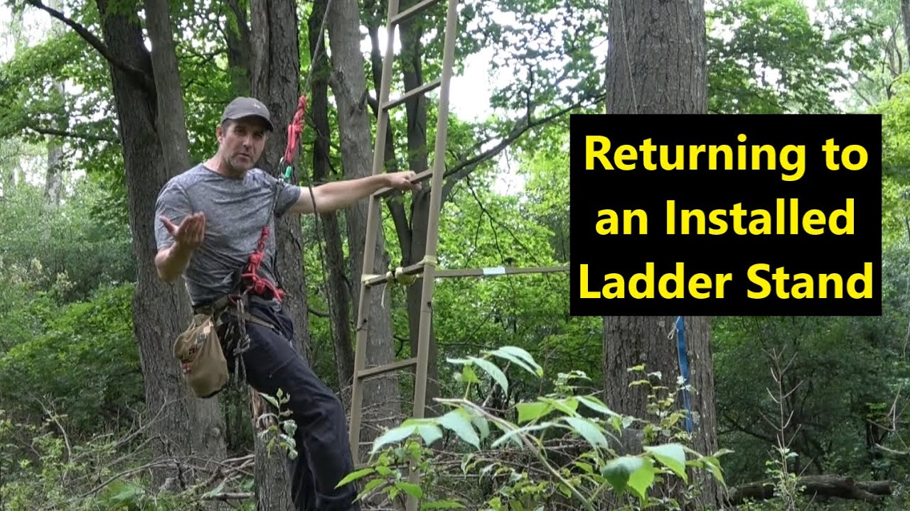 Returning to an Installed Ladder Stand - YouTube