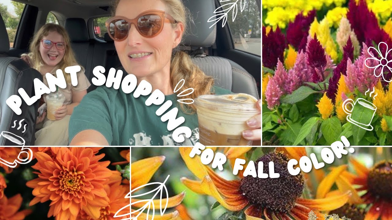 Plant shopping for fall color🍂🍁garden center shopping for fall ...