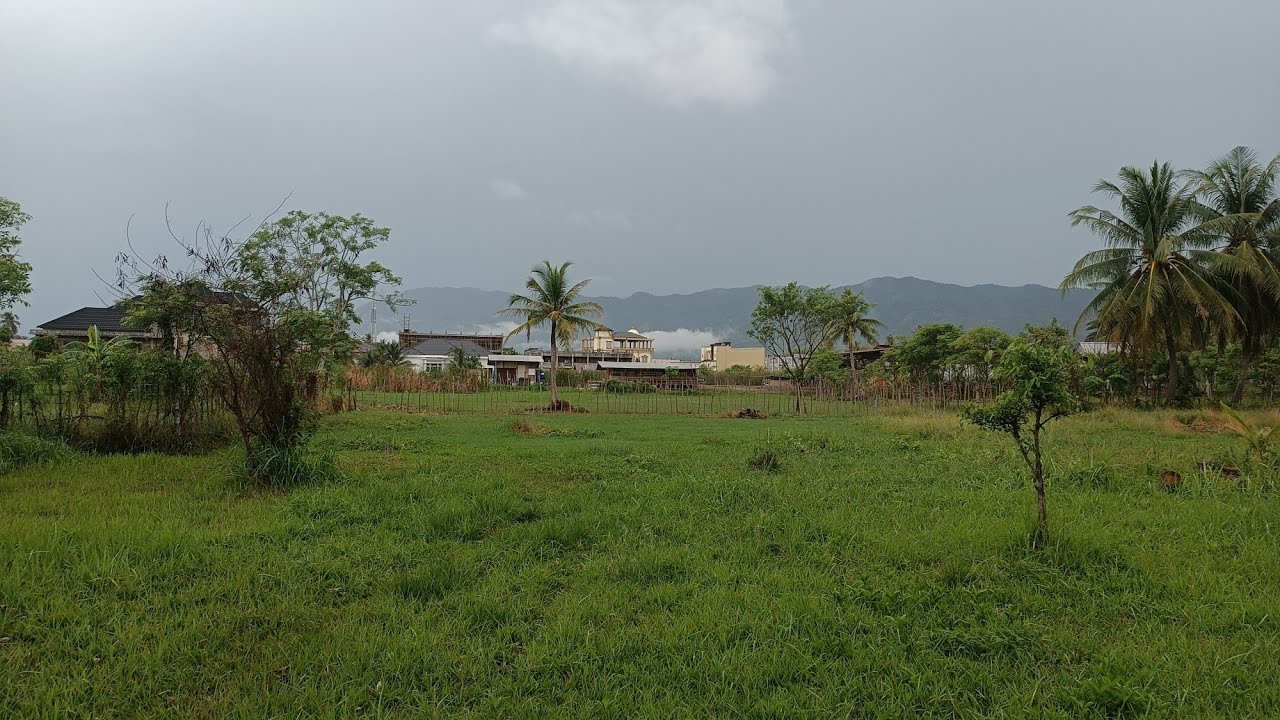 Modern Primitive - After rain over tropical savanna - YouTube