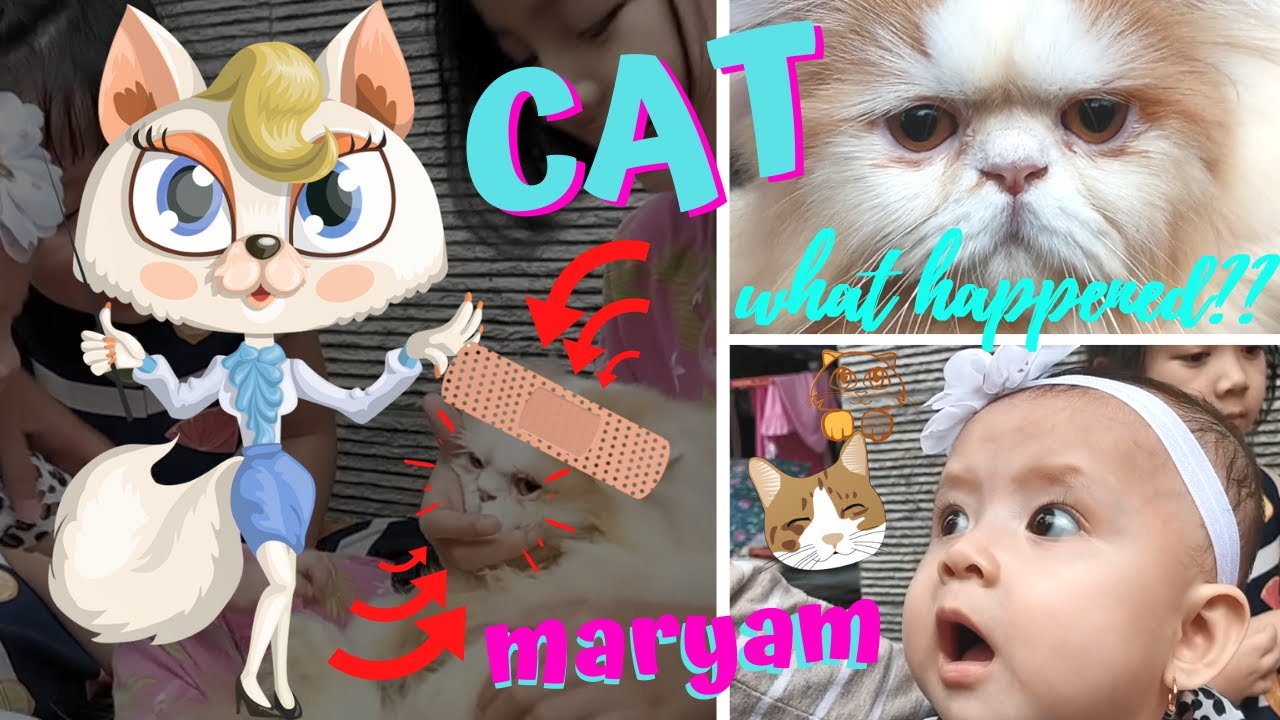 LUCU BANGET!!! Bayi main sama kucing || Baby Maryam playing cat for the ...