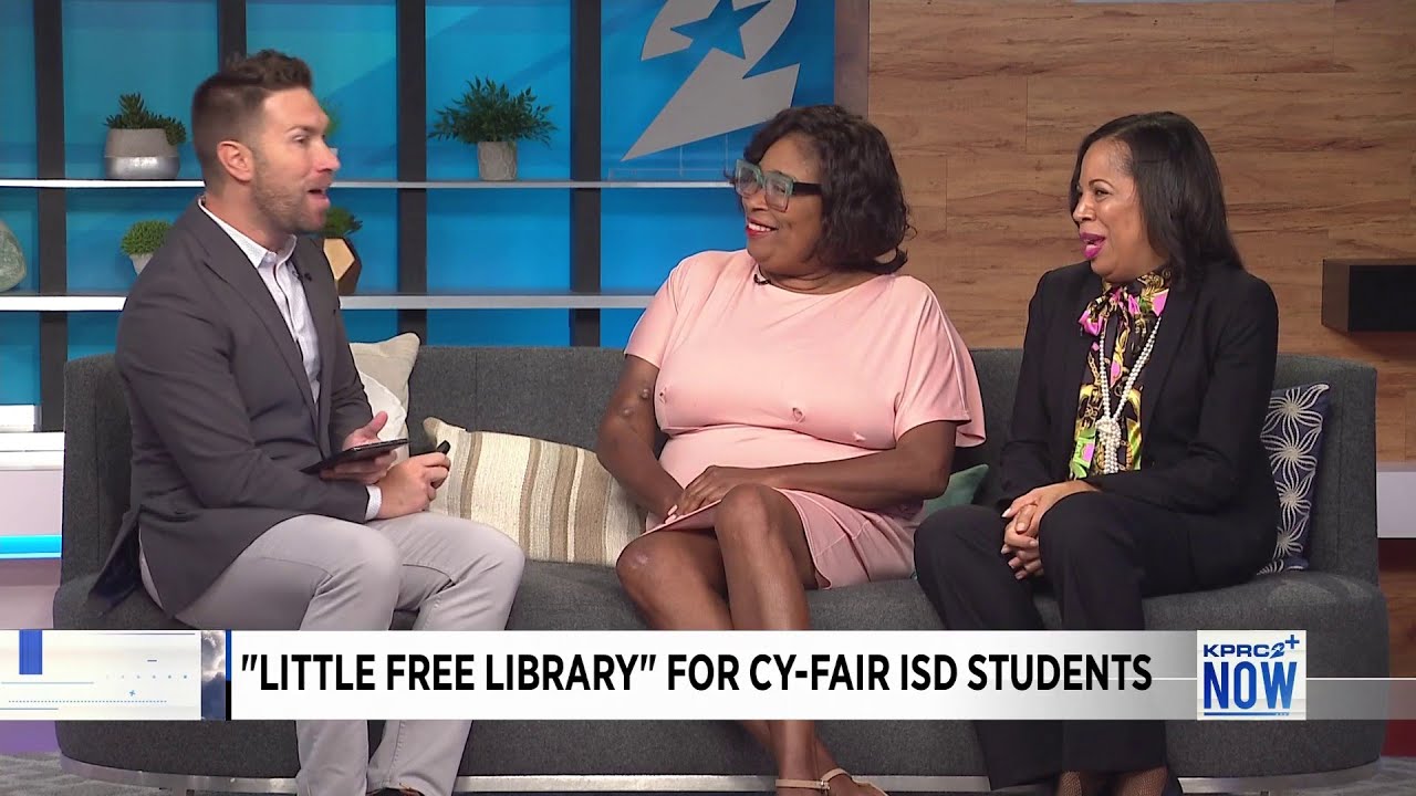 Alpha Kappa Alpha Sorority Inc. providing free books to help students ...