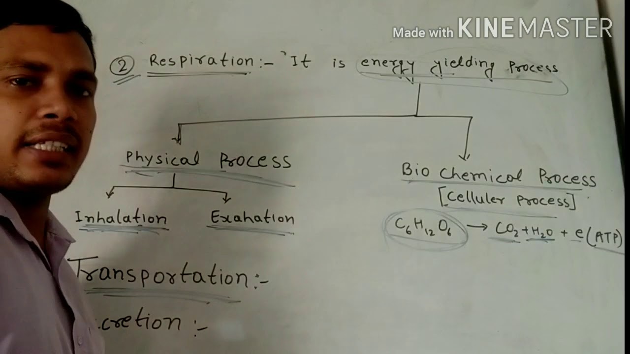 CLASS 10 BIO CHAPTER LIFE PROCESSES PART 1 - YouTube