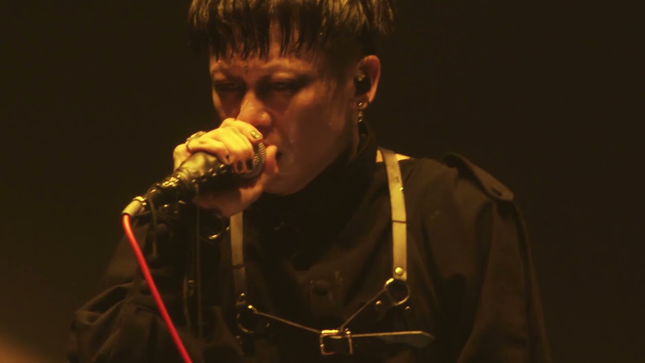 DIR EN GREY - VINUSHKA [Sub Español] LIVE - YouTube