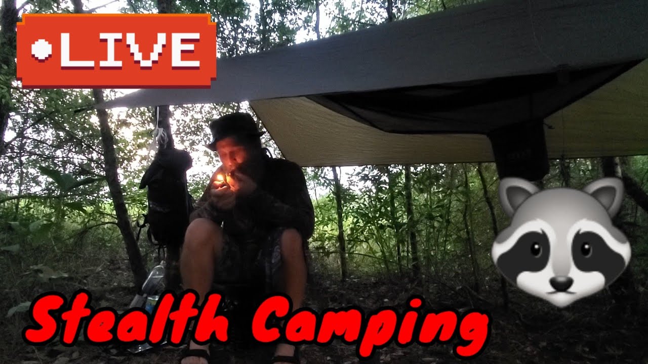 LIVE Stealth Camp - YouTube