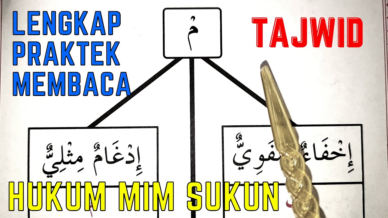 Belajar Lengkap Hukum Mim Sukun, Contoh, Cara Baca dan Praktik Membaca ...